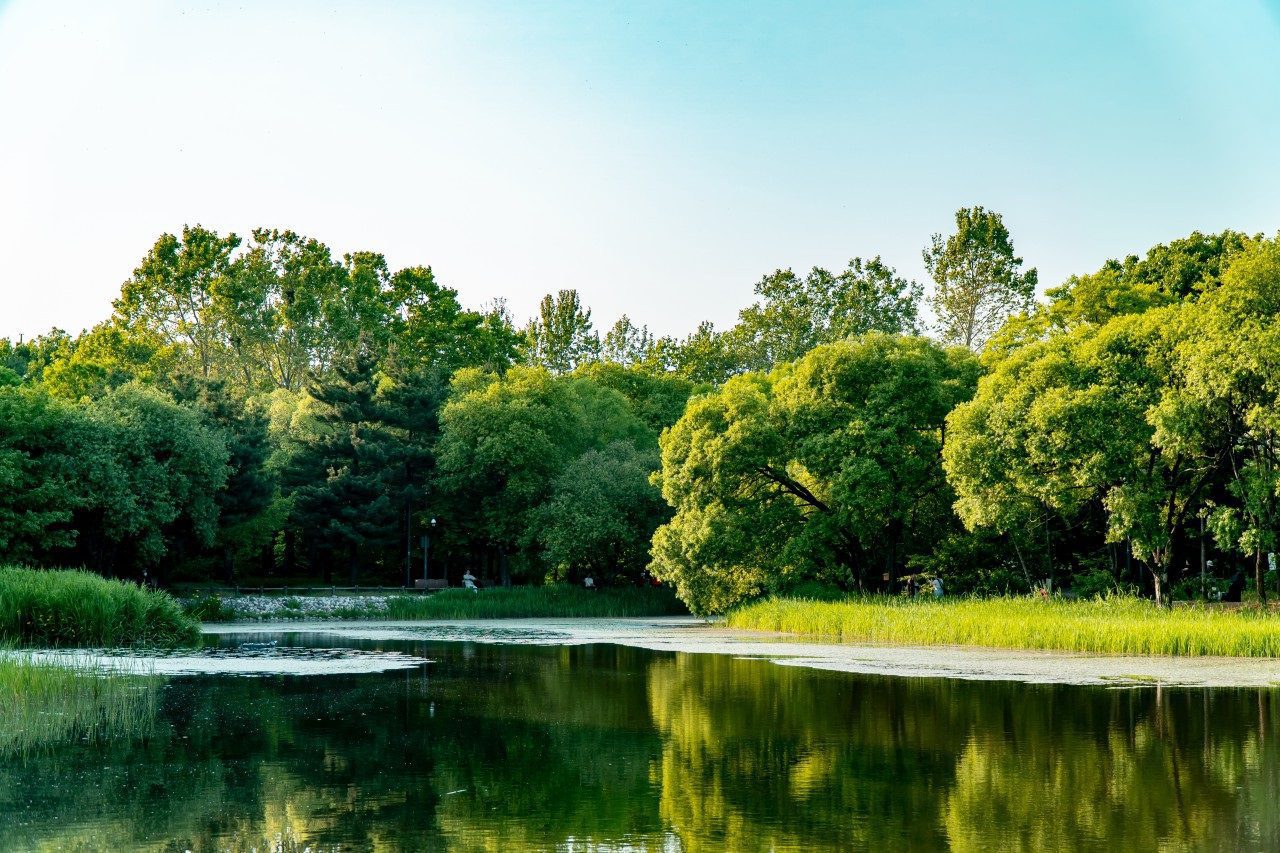 Seoul City Tour_Course C (Seoul Forest, SM Kwangya Store, Seongsu Hot ...
